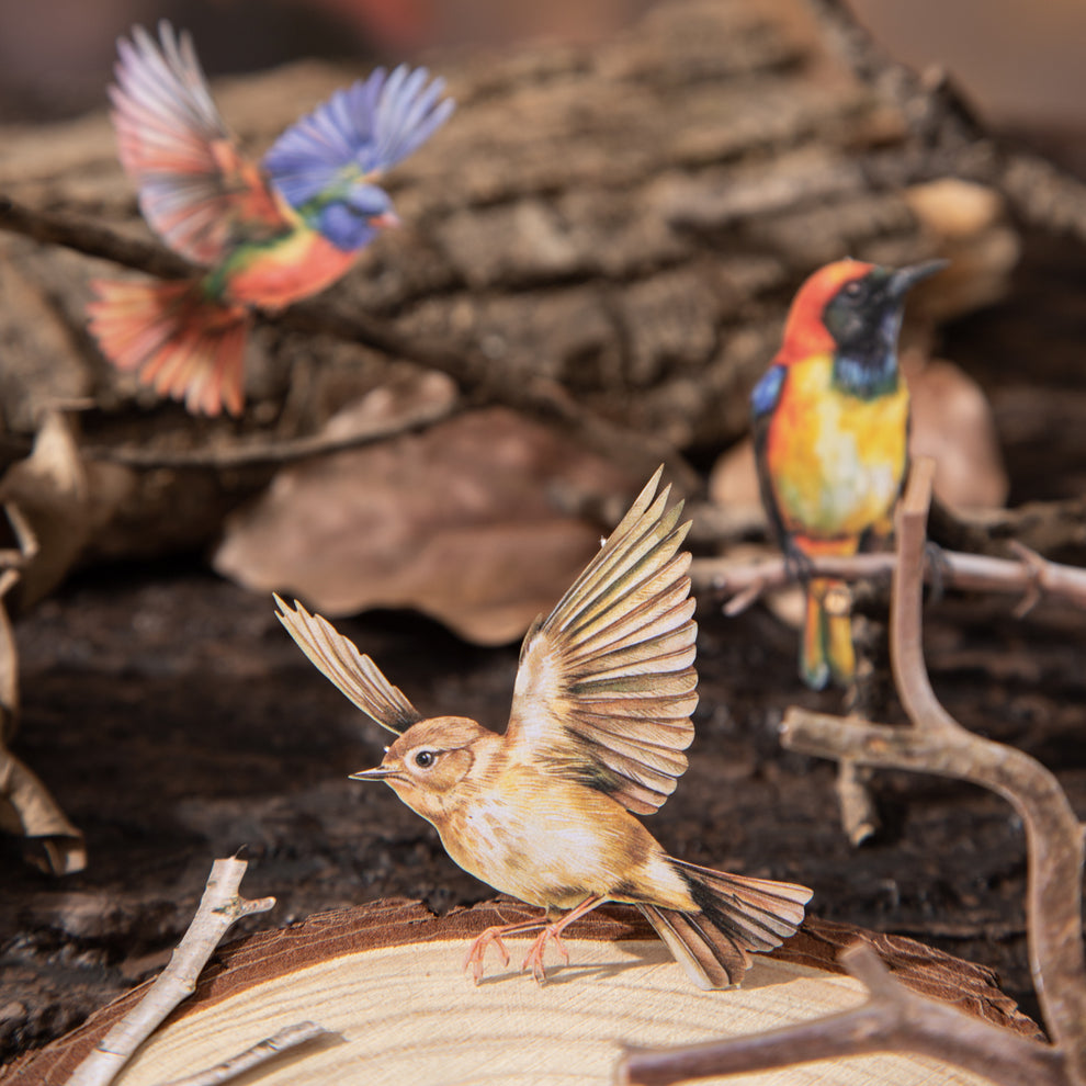 1225 Forest bird cardstock sticker -20Pcs each pack – Goodiesforsoul